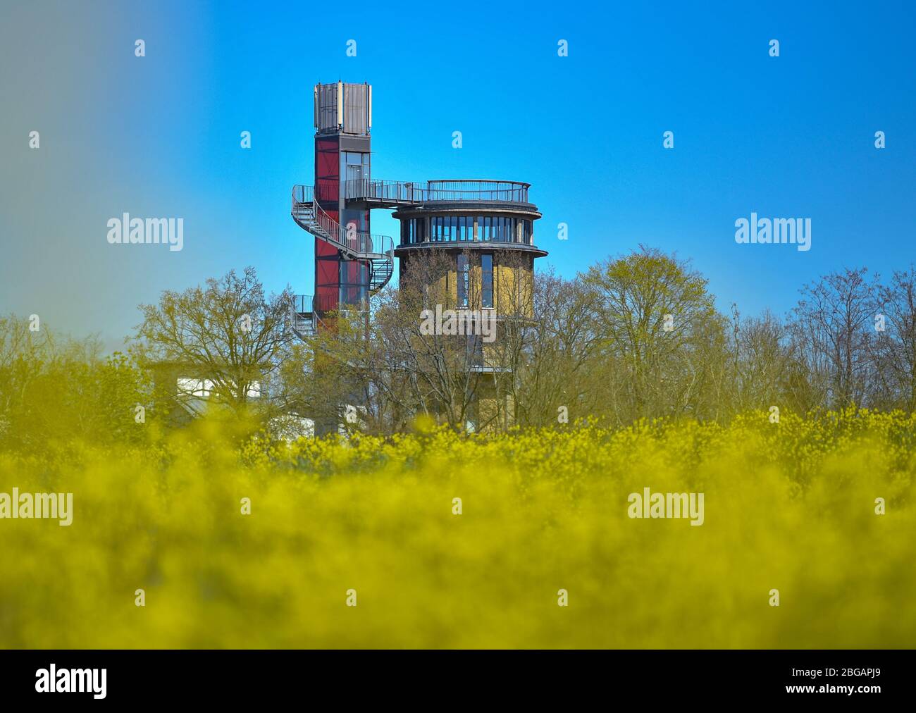 Joachimsthal, Germany. 20th Apr, 2020. Behind a yellow flowering meadow ...