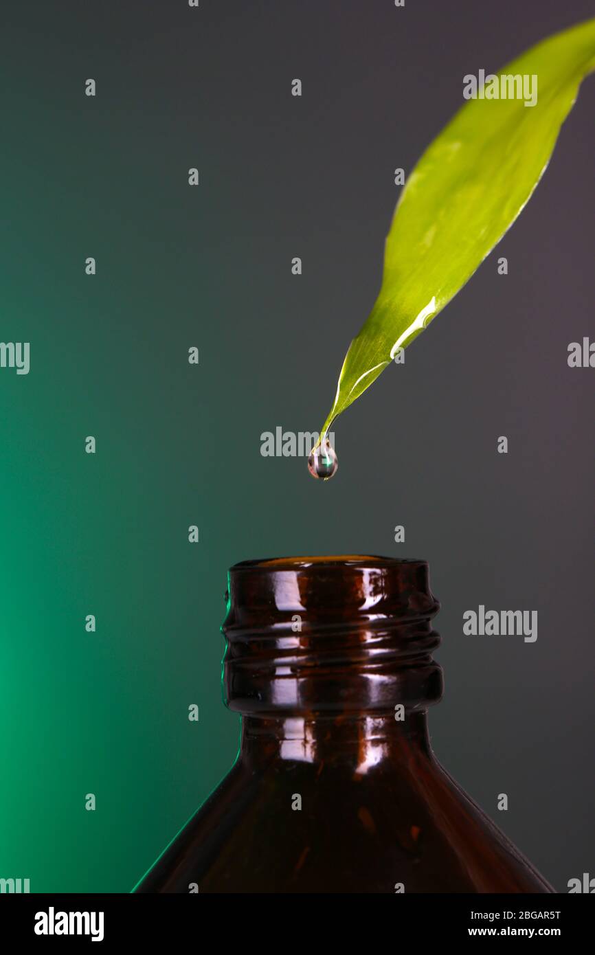 Drop falling from leaf on green background Stock Photo - Alamy