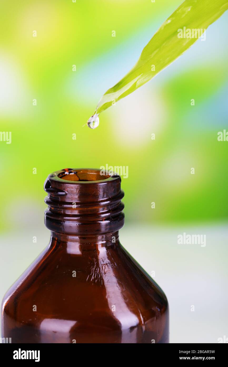 Drop falling from leaf on natural background Stock Photo - Alamy