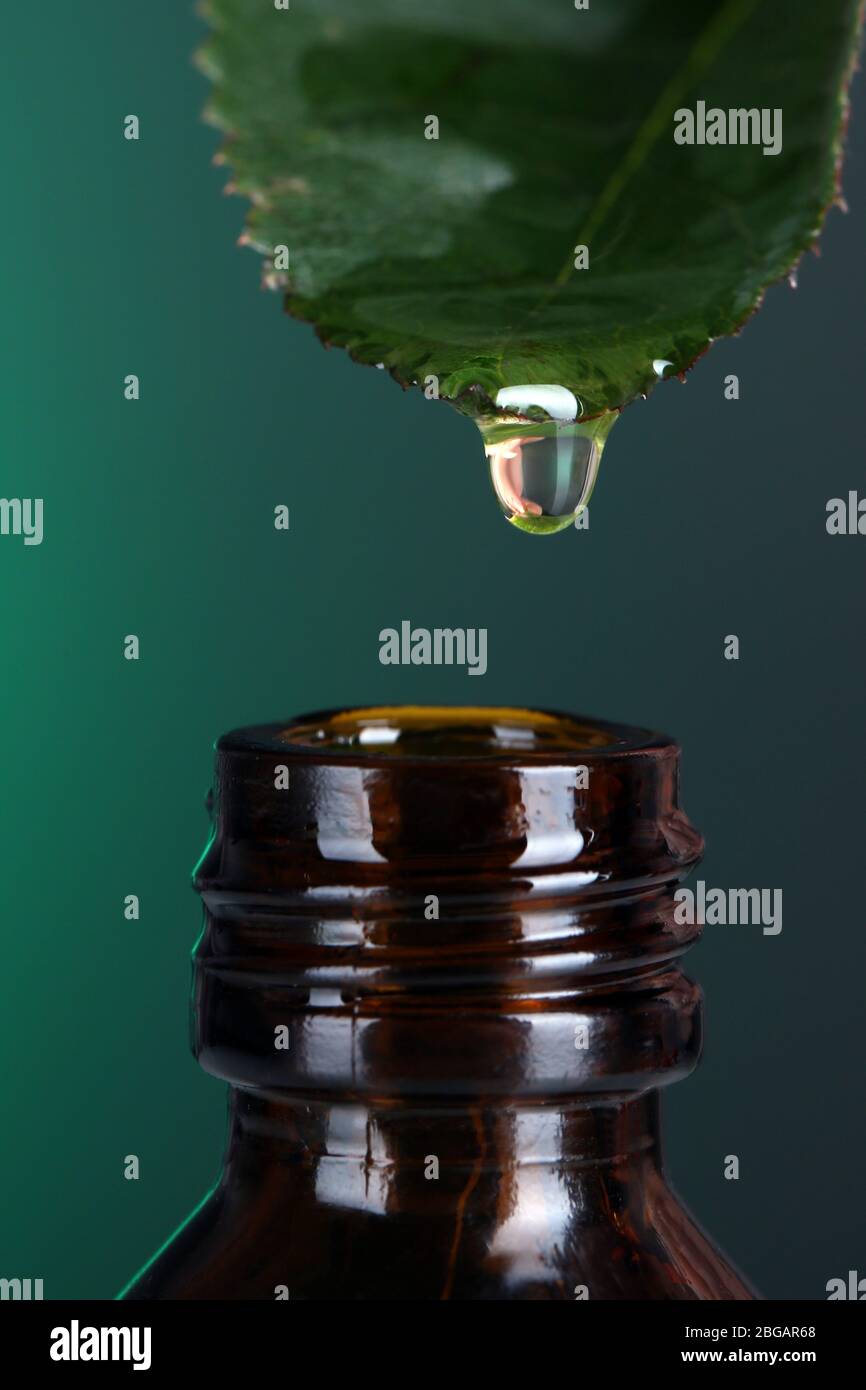 Drop falling from leaf on green background Stock Photo - Alamy