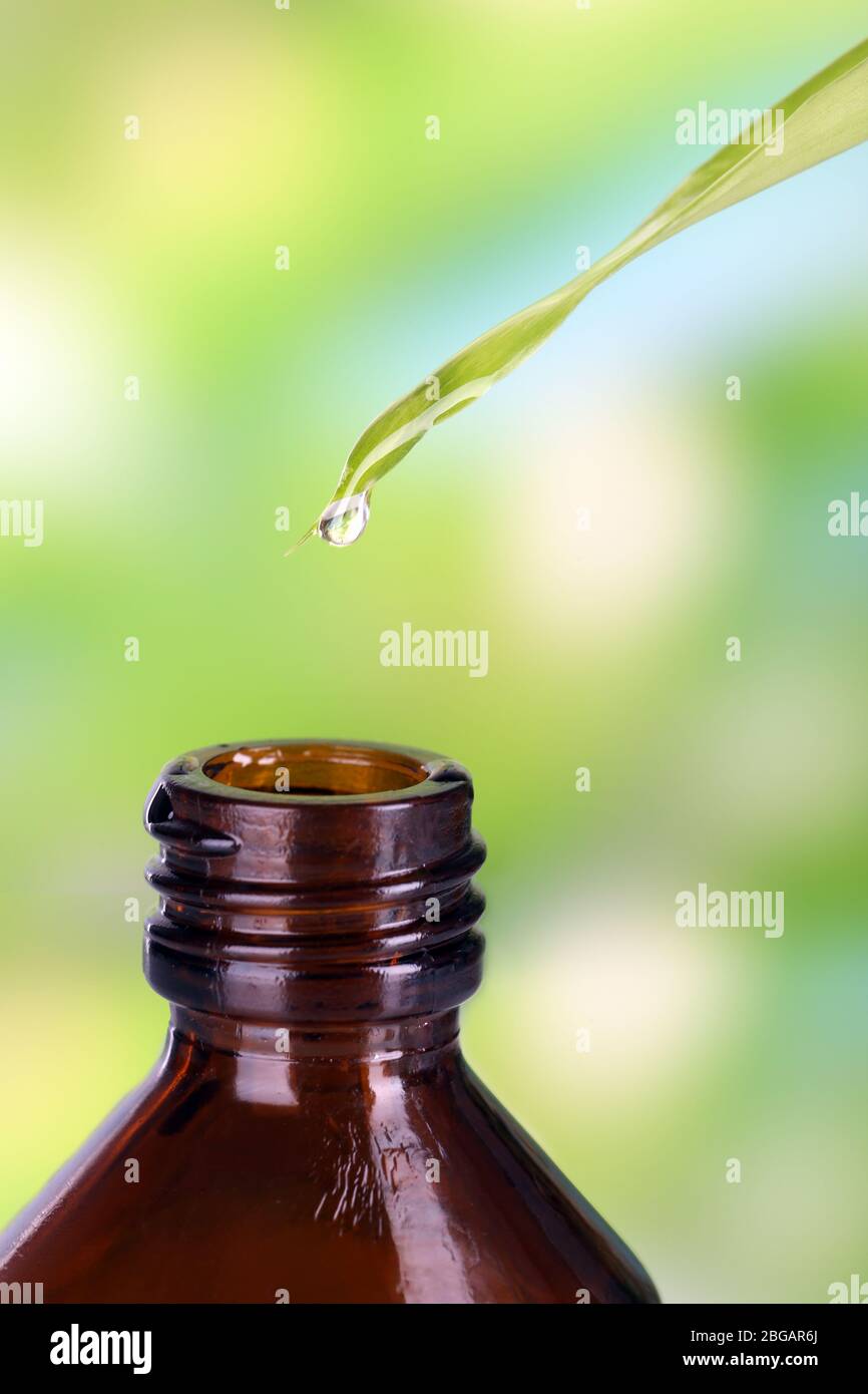 Drop falling from leaf on natural background Stock Photo - Alamy
