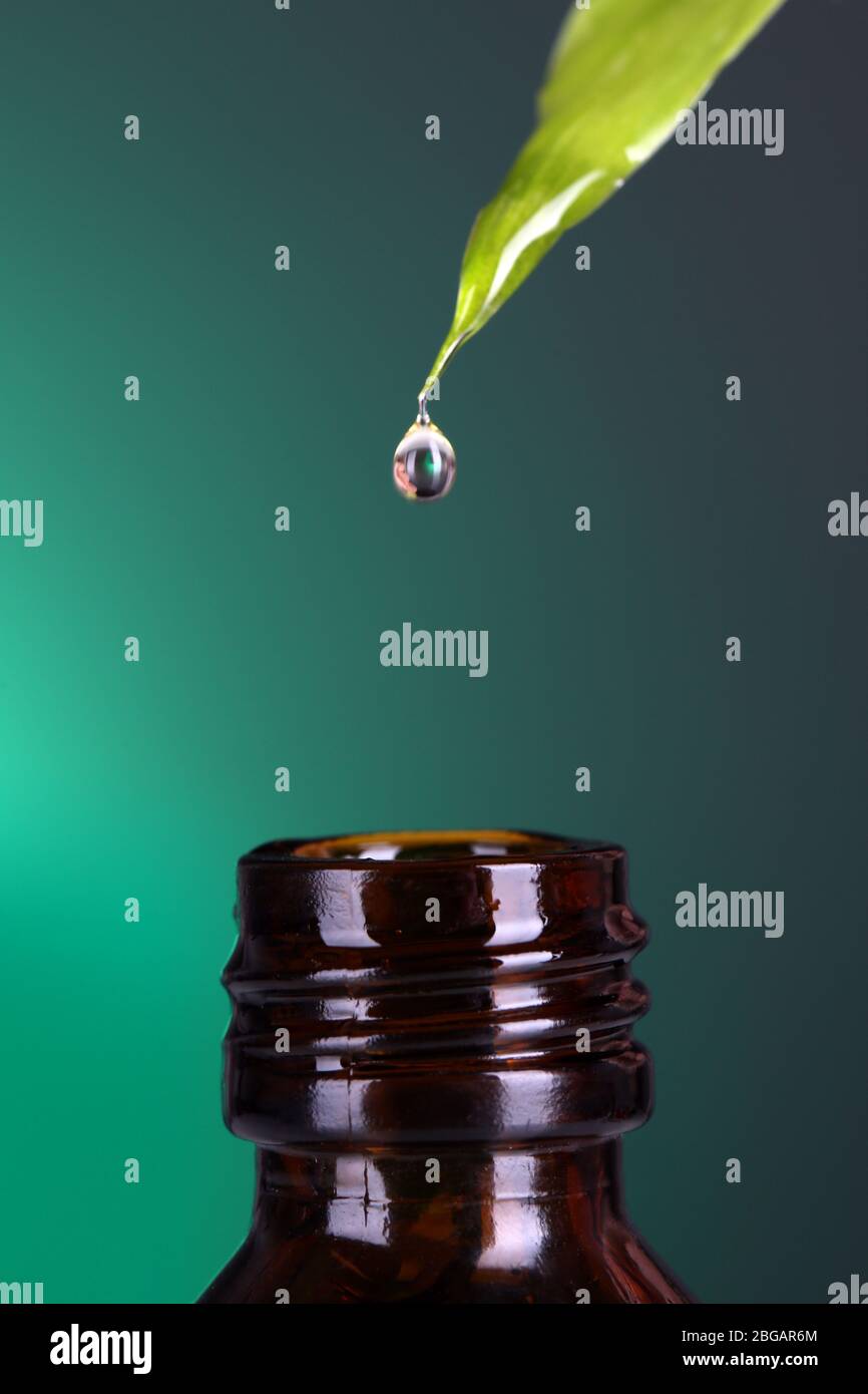 Drop falling from leaf on green background Stock Photo - Alamy