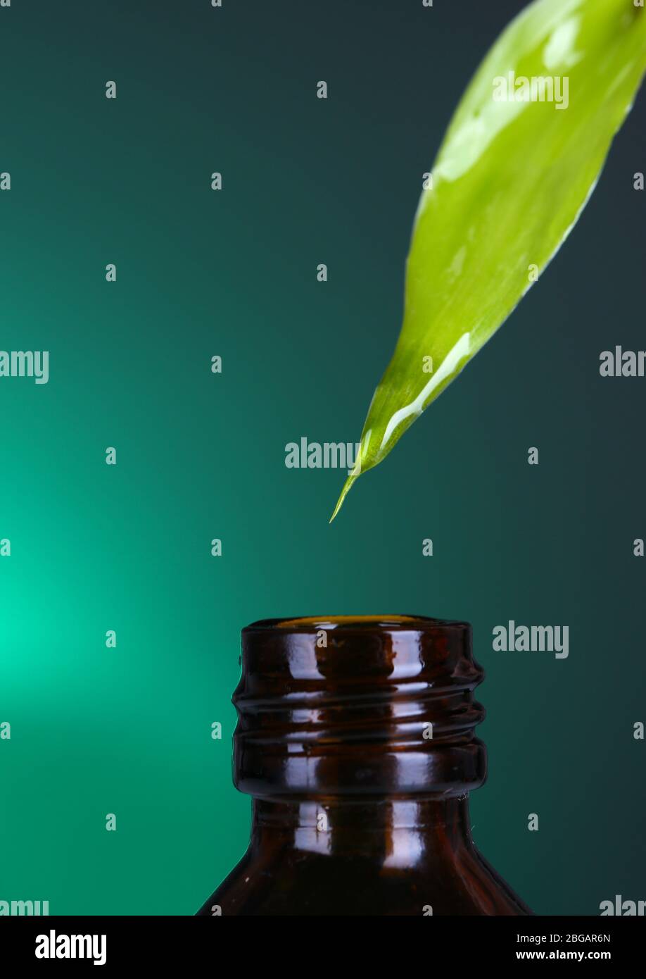 Drop falling from leaf on green background Stock Photo - Alamy