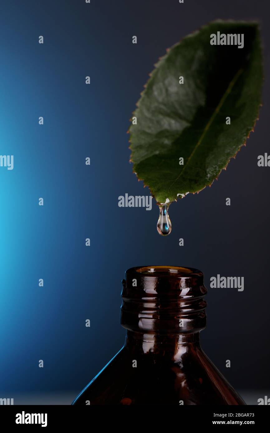 Drop falling from leaf on blue background Stock Photo - Alamy