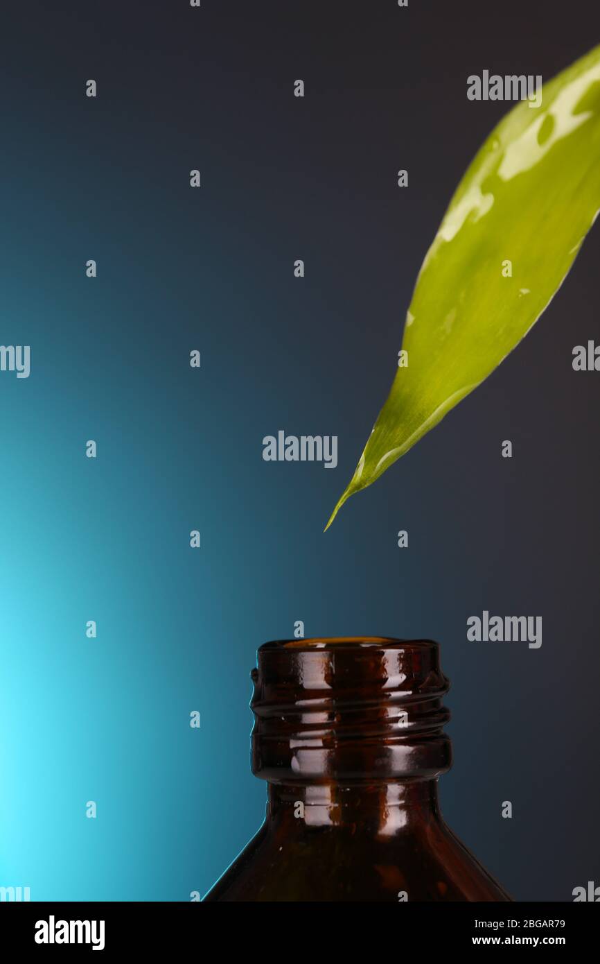 Drop falling from leaf on blue background Stock Photo - Alamy