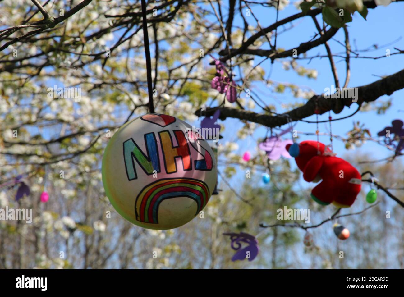 Nhs rainbow tree hi-res stock photography and images - Alamy