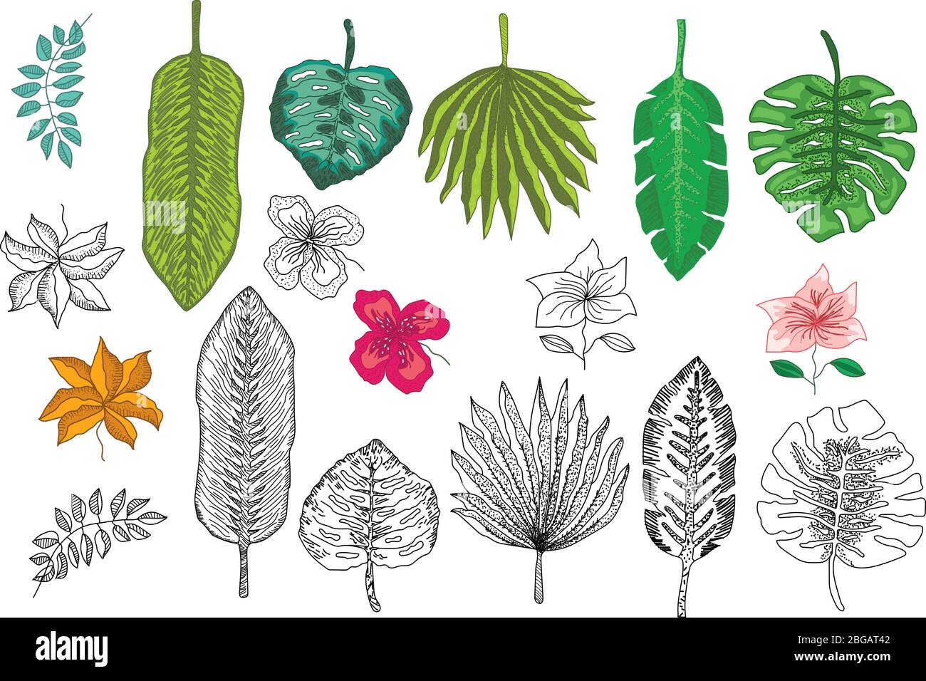 Set Of Stylized Tropical Plants, Leaves And Flowers Stock Vector Image ...