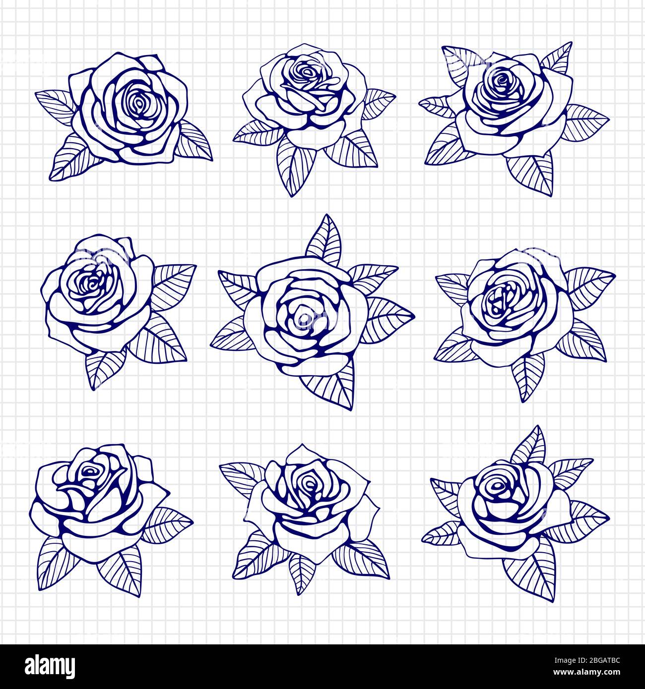 Ballpoint pen drawing roses set on notebook background. Vector ...