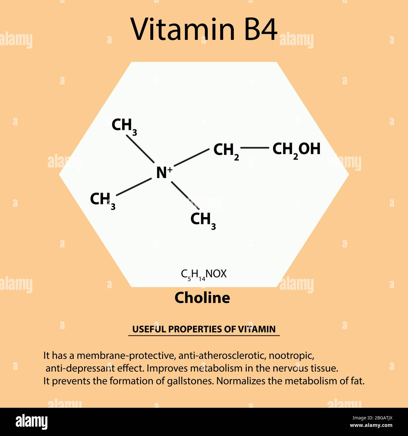 Vitamin B4. Choline Molecular chemical formula. Useful properties of ...