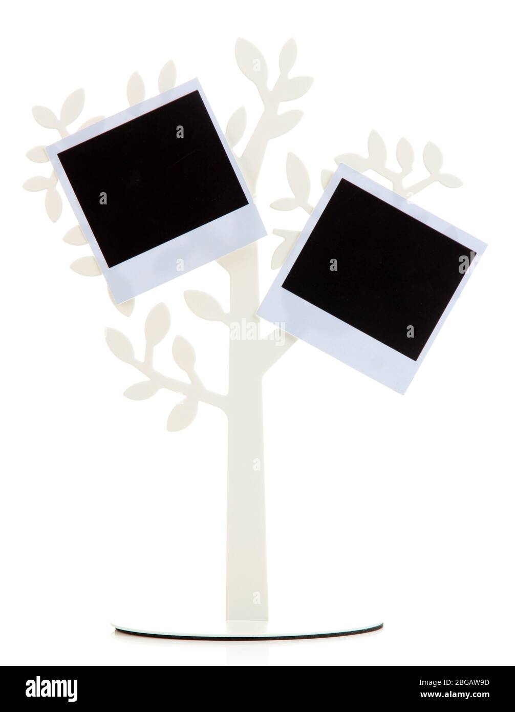 Holder in form of tree with instant photo cards isolated on white Stock ...