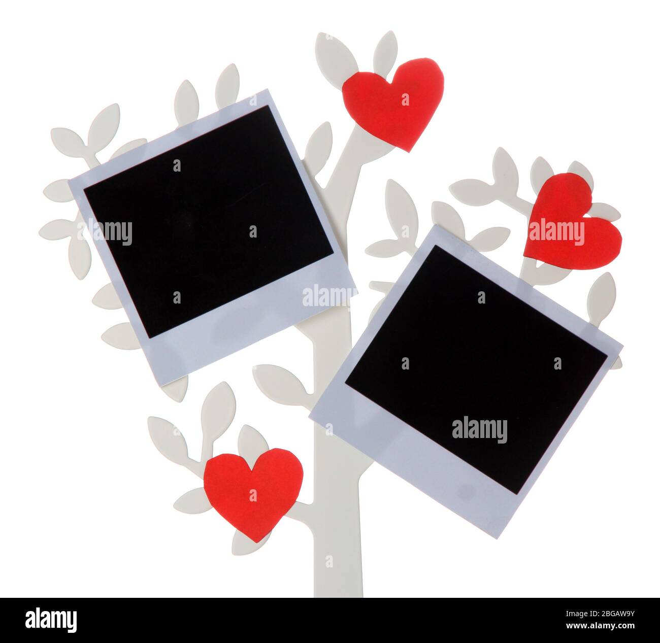 Holder in form of tree with instant photo cards isolated on white Stock ...