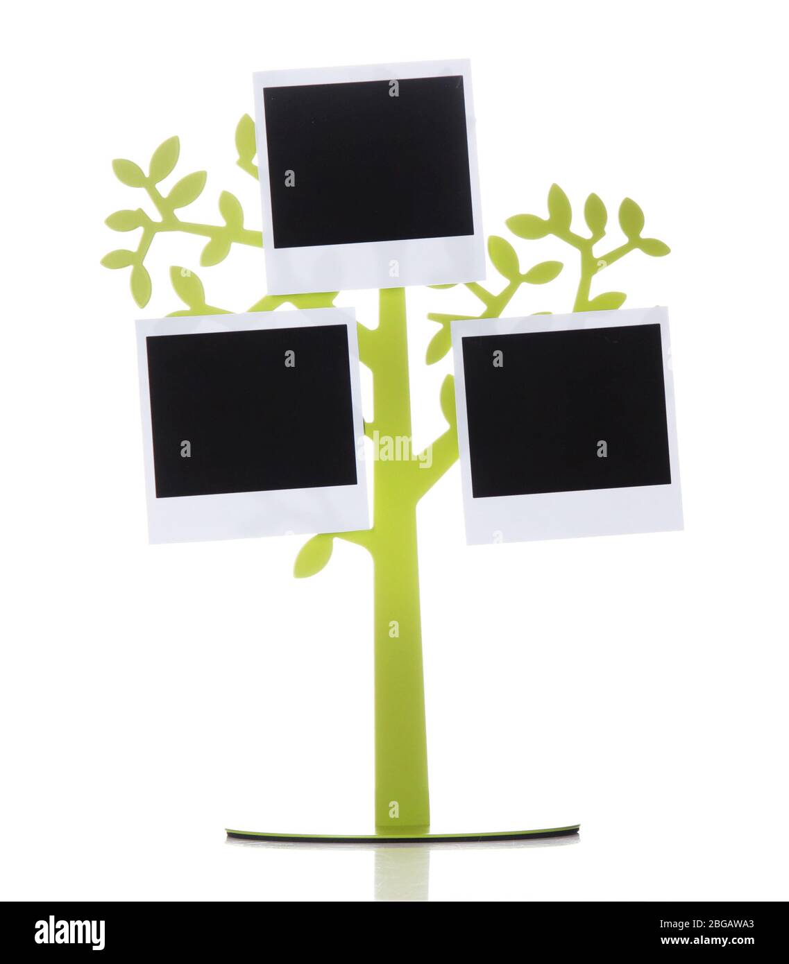 Holder in form of tree with instant photo cards isolated on white Stock ...