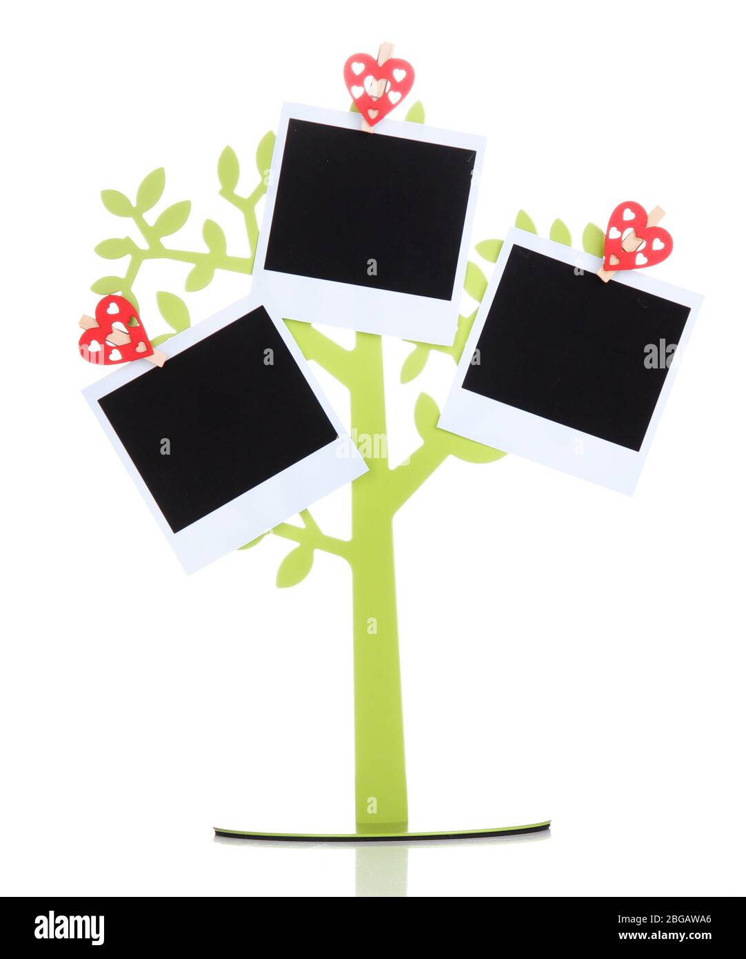 Holder in form of tree with instant photo cards isolated on white Stock ...