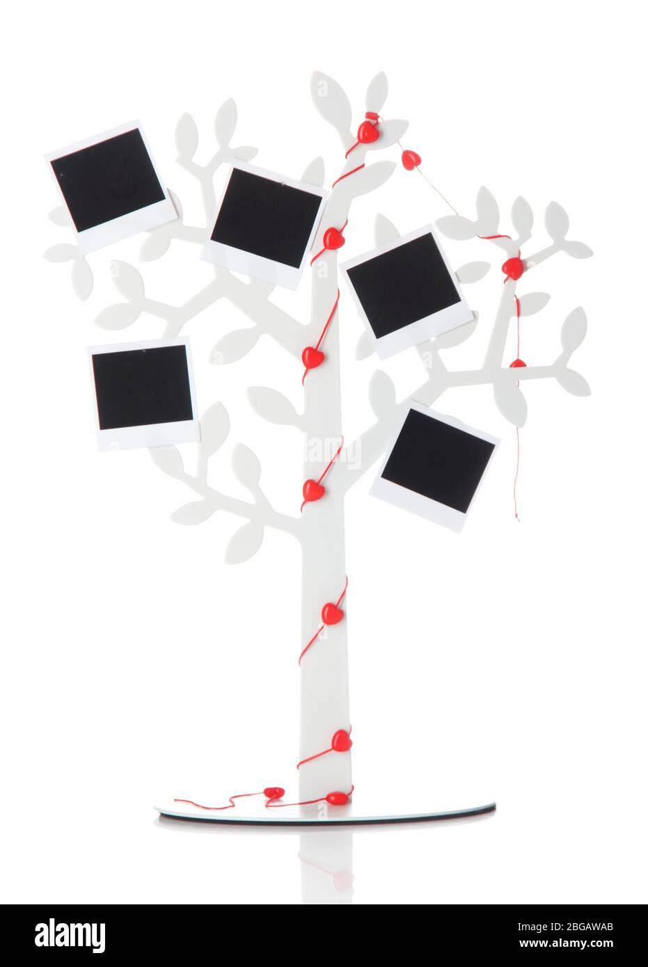 Holder in form of tree with instant photo cards isolated on white Stock ...