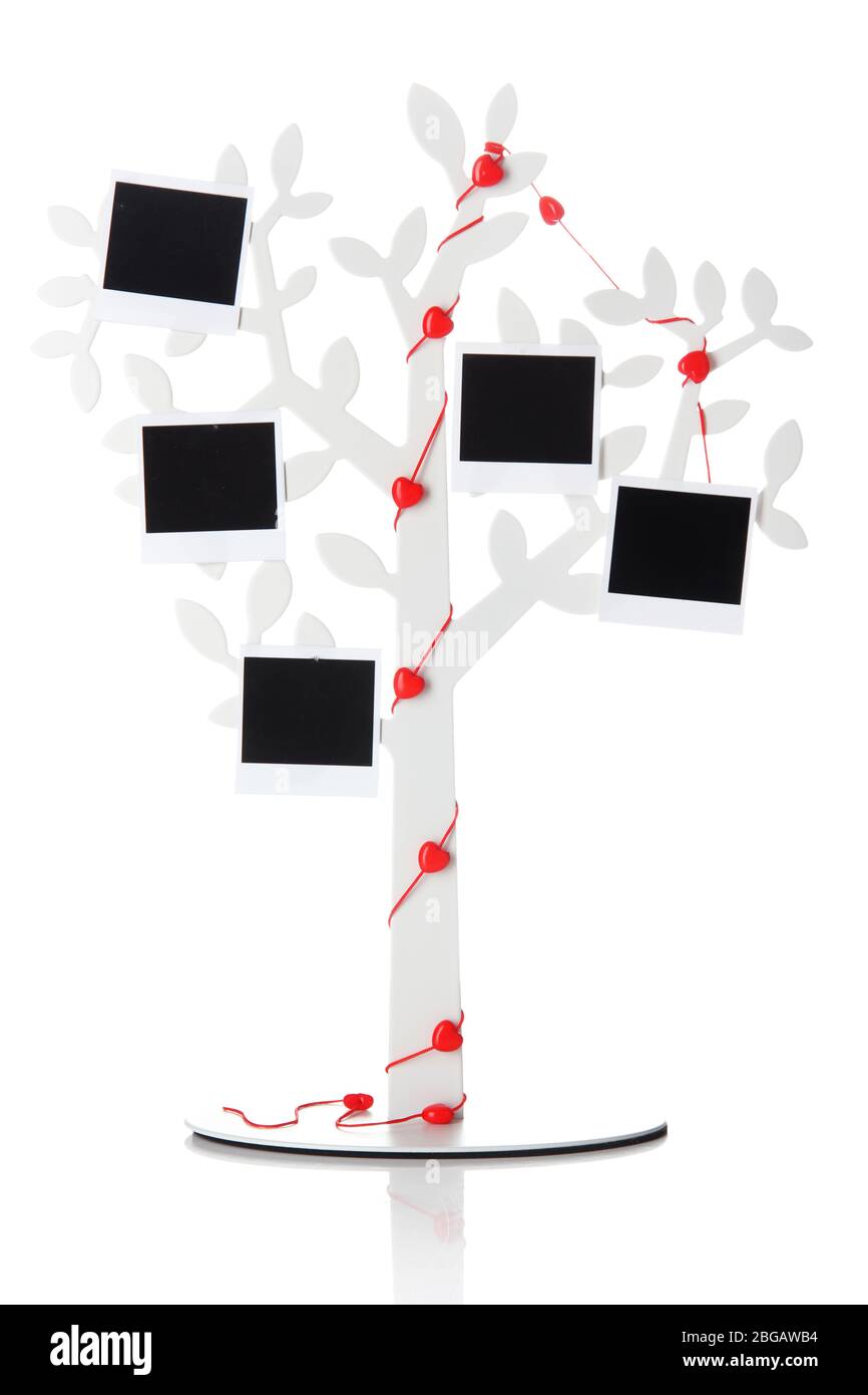 Holder in form of tree with instant photo cards isolated on white Stock ...
