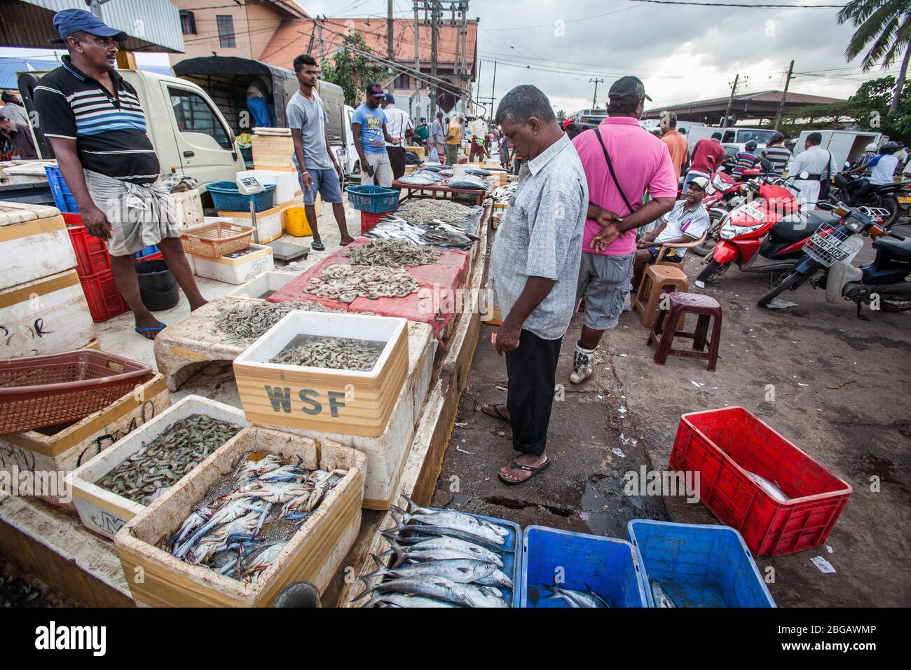 Negombo, Sri Lanka. July 20, 016: Sellers and buyers in the famous fish ...