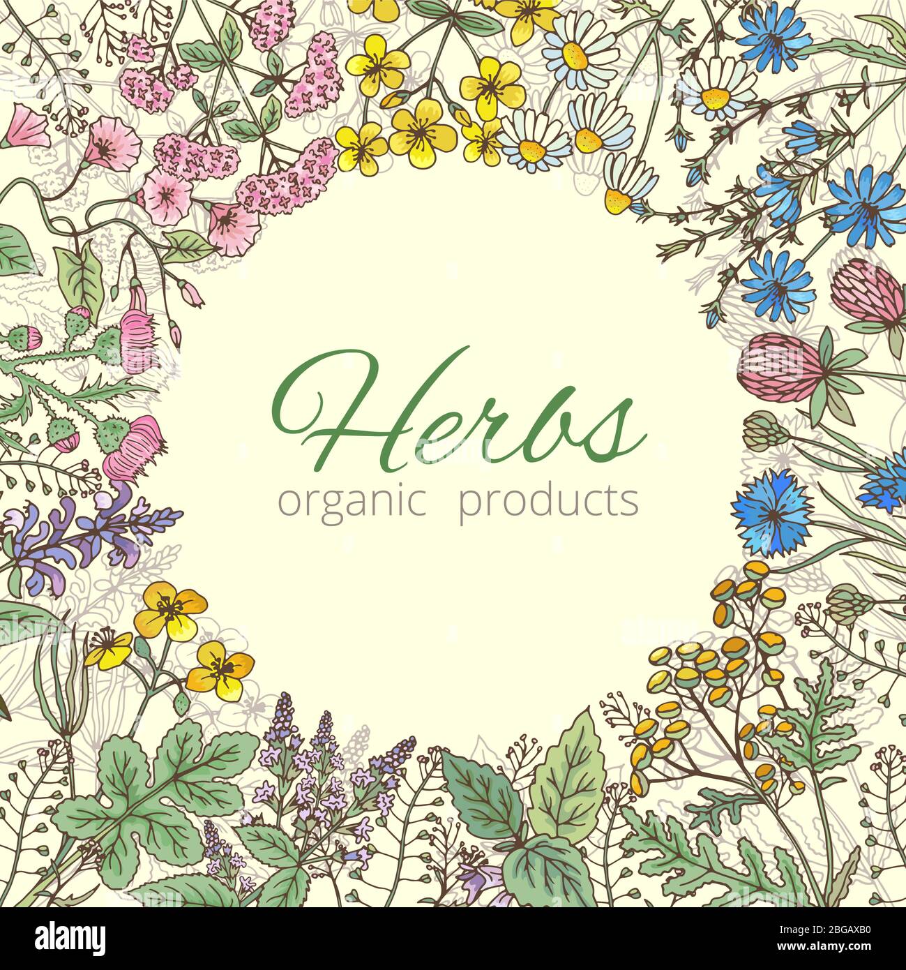 Medicinal, botanical and healing beauty herbs from garden. Background ...