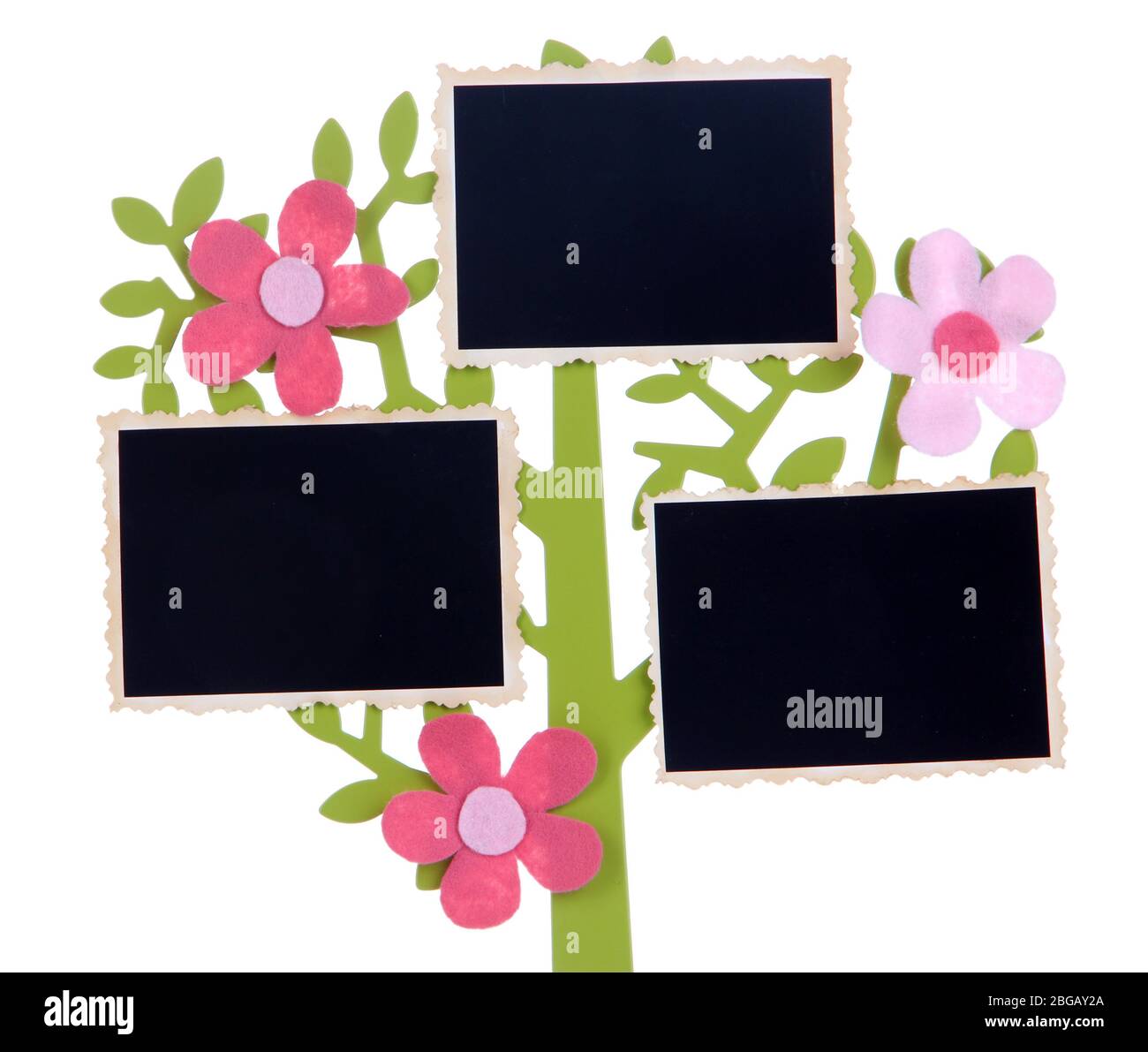 Holder in form of tree with instant photo cards isolated on white Stock ...