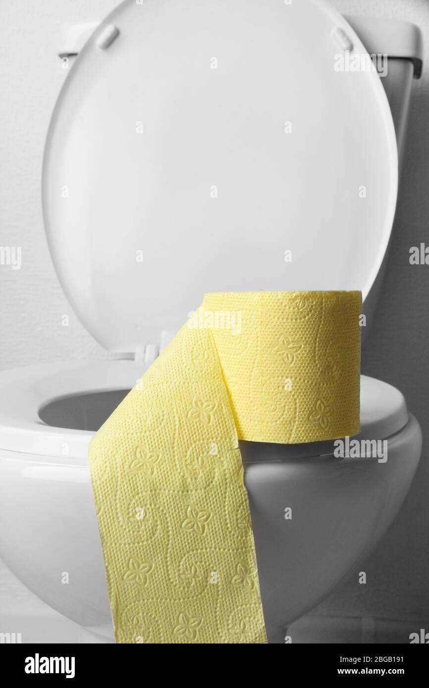 Toilet paper on a toilet, close-up Stock Photo - Alamy