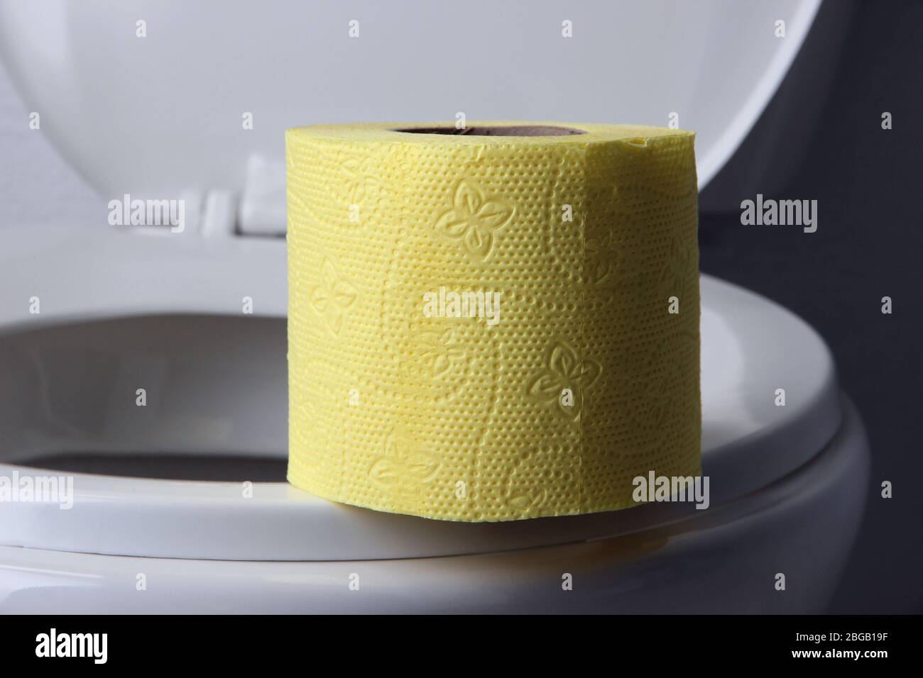 Toilet paper on a toilet, close-up Stock Photo - Alamy