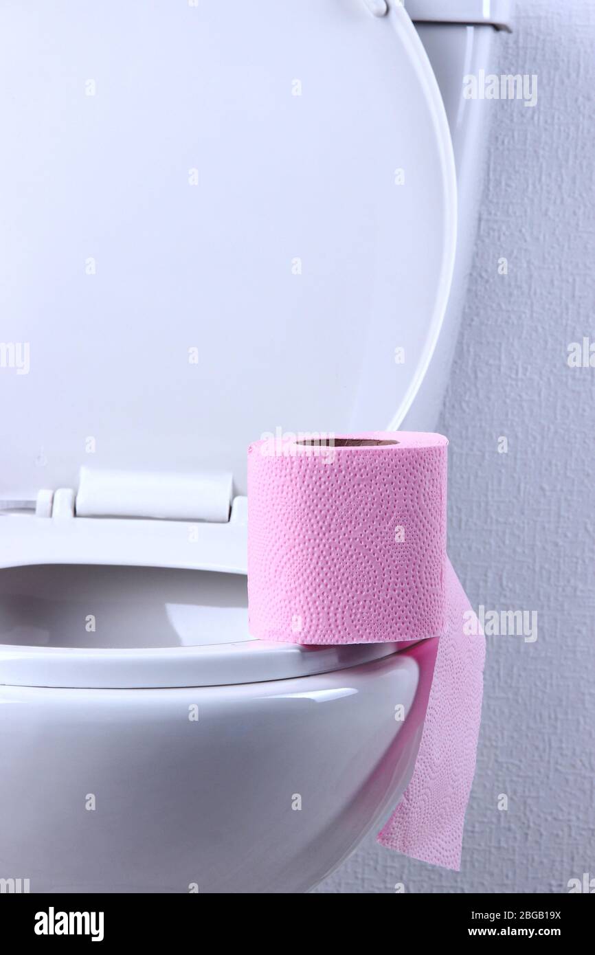 Toilet paper on a toilet, close-up Stock Photo - Alamy