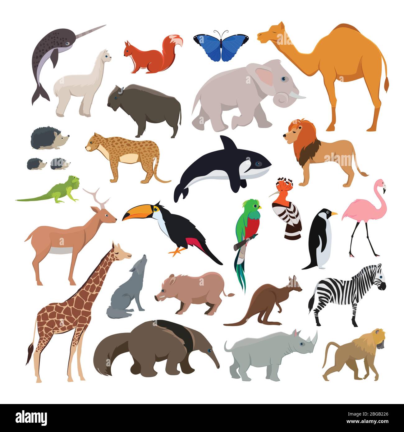Big vector set with wild cute animals isolate on white background Stock ...