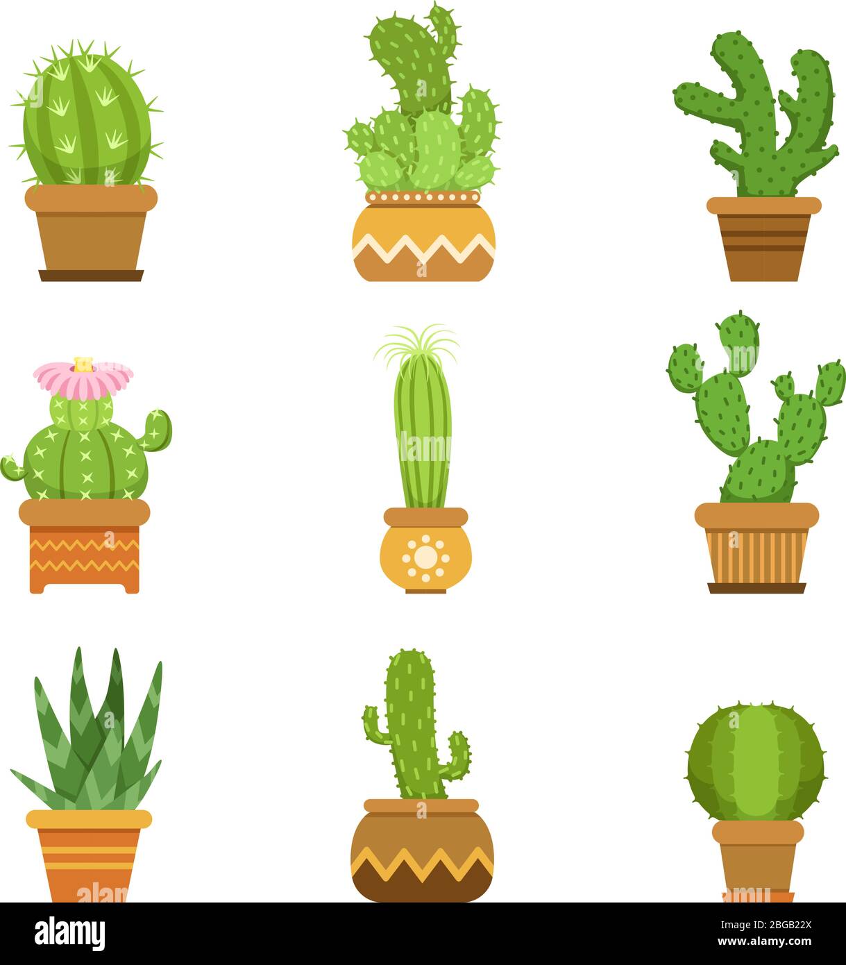 Decorative cactus in pots. Vector set. Desert plants isolate on white ...