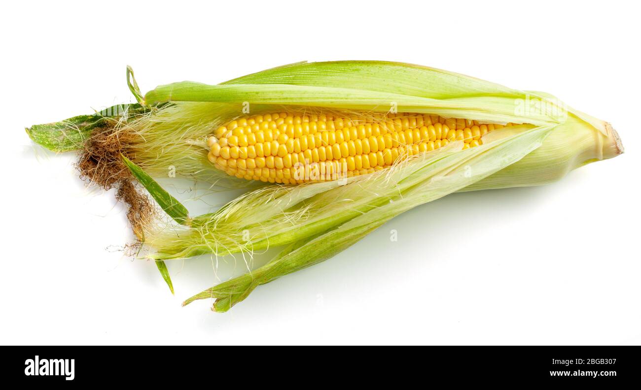 Corn in the leaves isolated on white background Stock Photo - Alamy