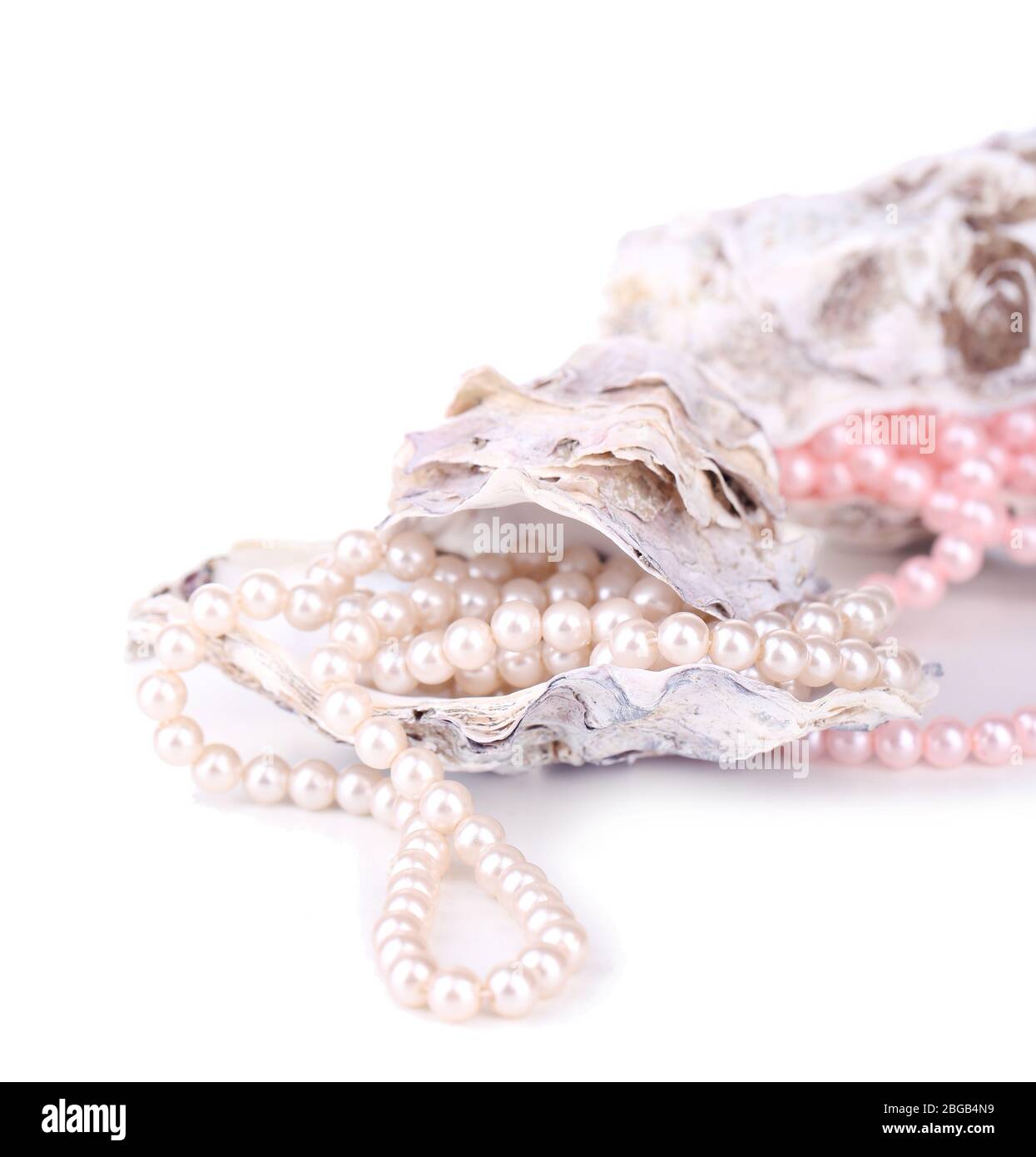 Pearl necklace shells hi-res stock photography and images - Alamy