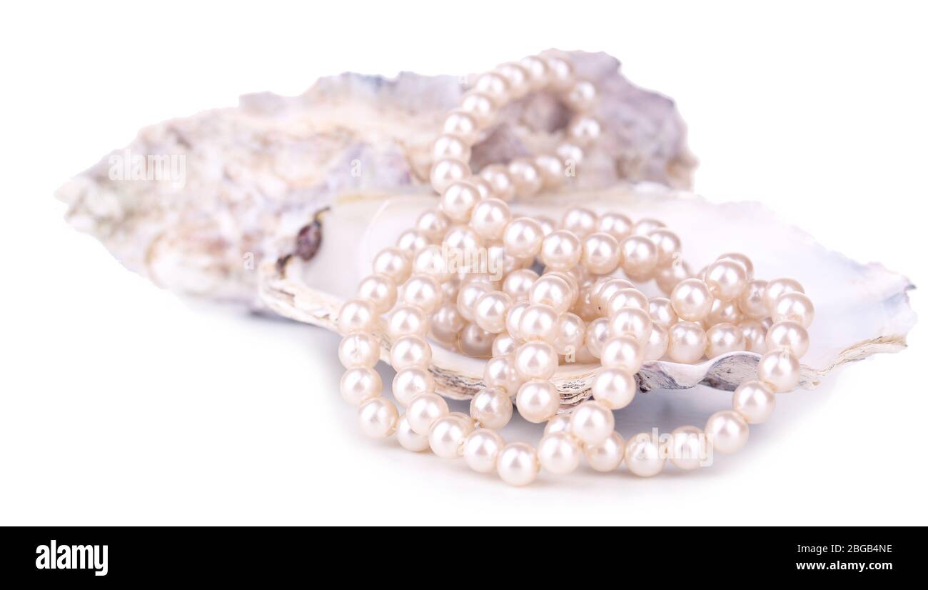 Shell with pearls, isolated on white Stock Photo - Alamy