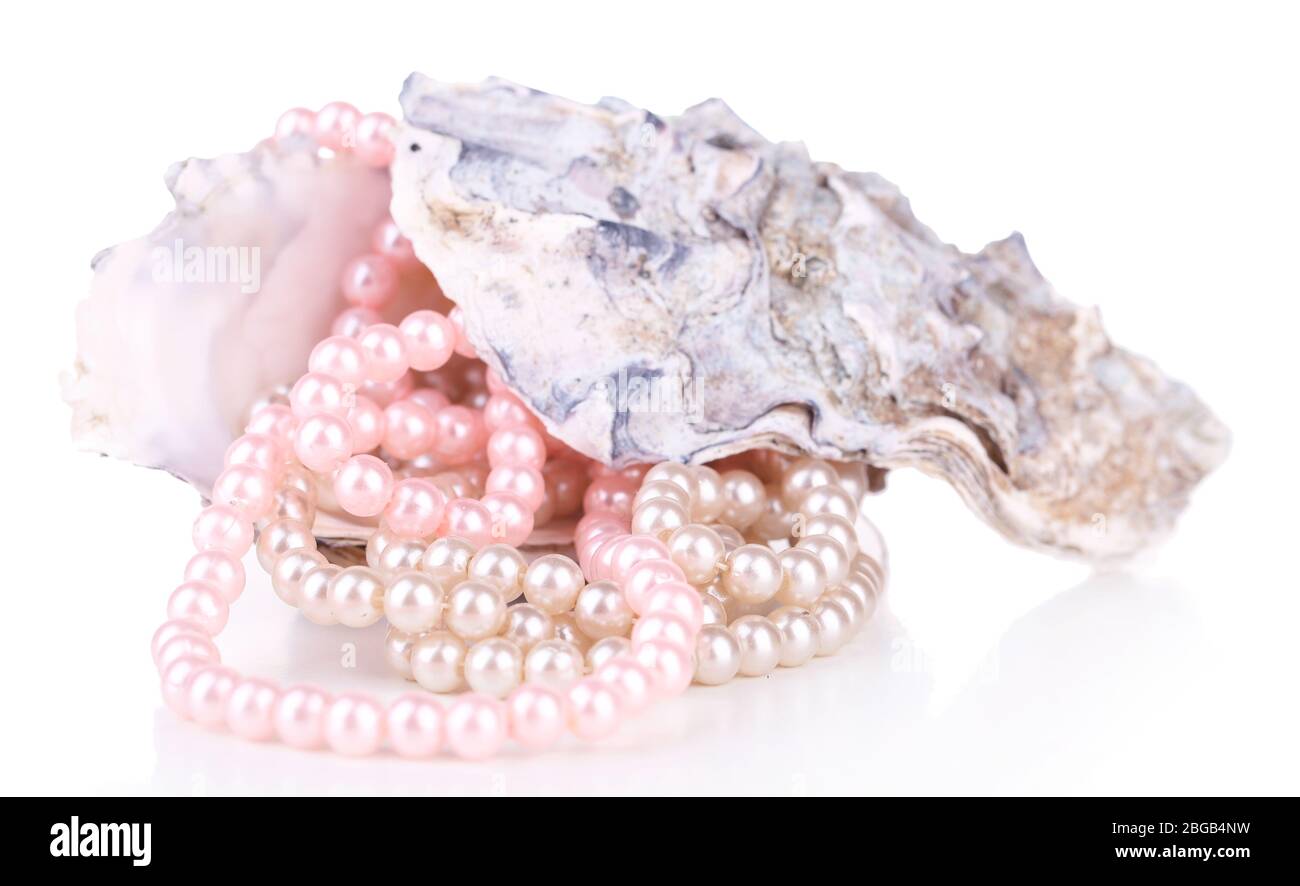 Shell with pearls, isolated on white Stock Photo - Alamy