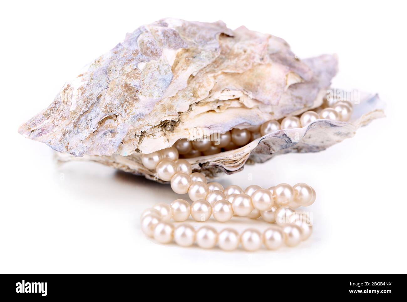 Seashell background pearls Cut Out Stock Images & Pictures - Alamy