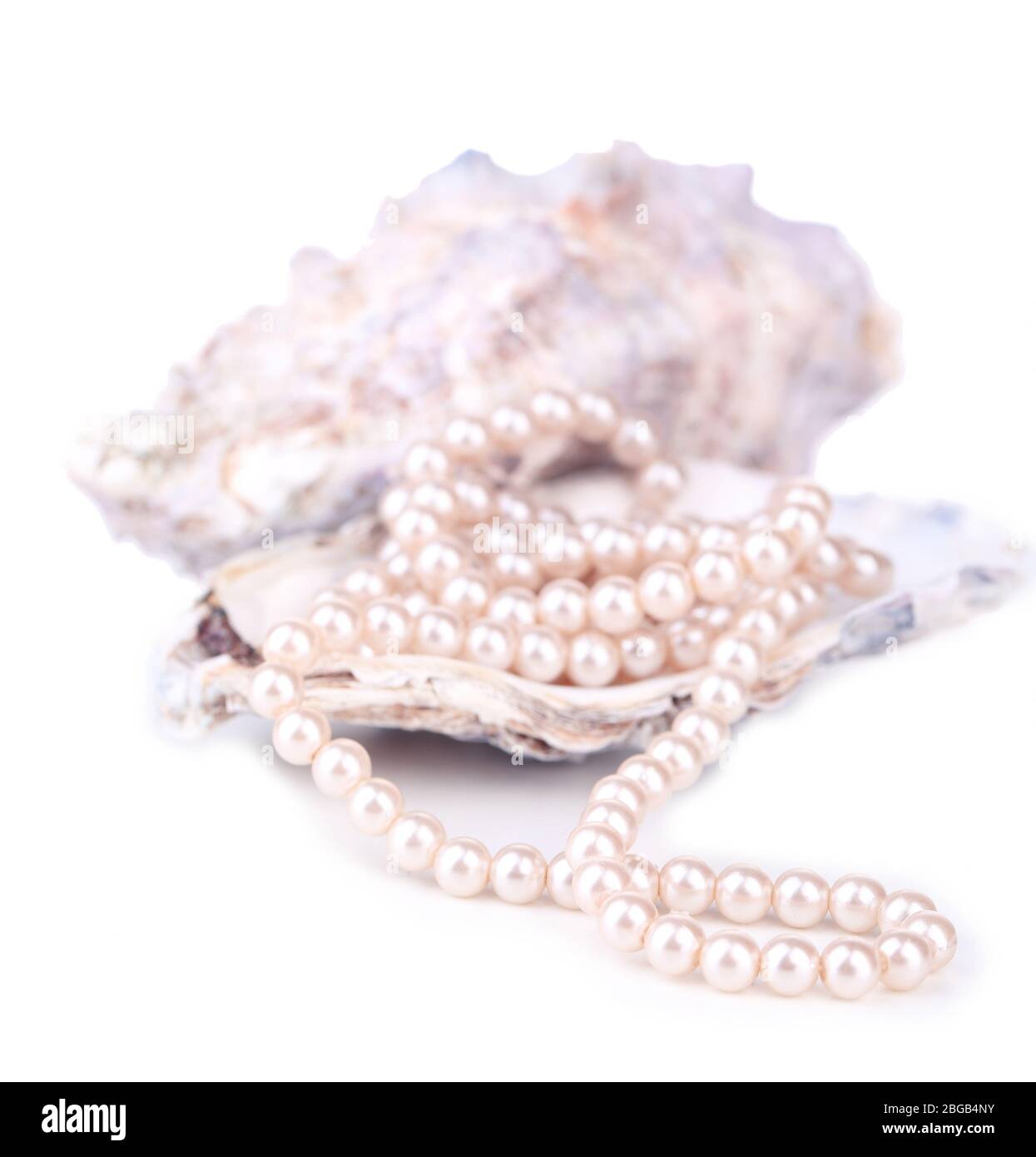 Shell with pearls, isolated on white Stock Photo - Alamy