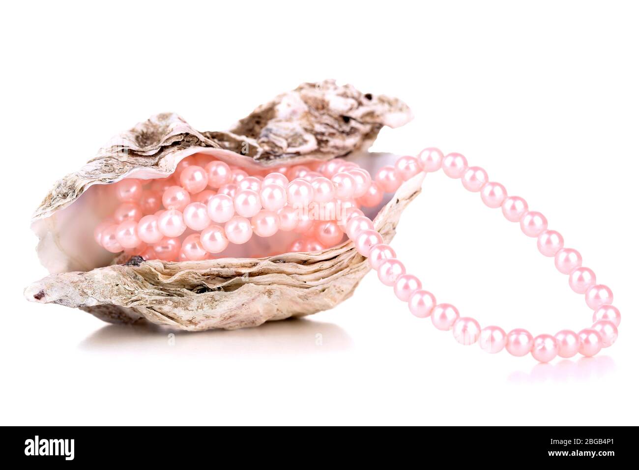 Shell with pearls, isolated on white Stock Photo - Alamy