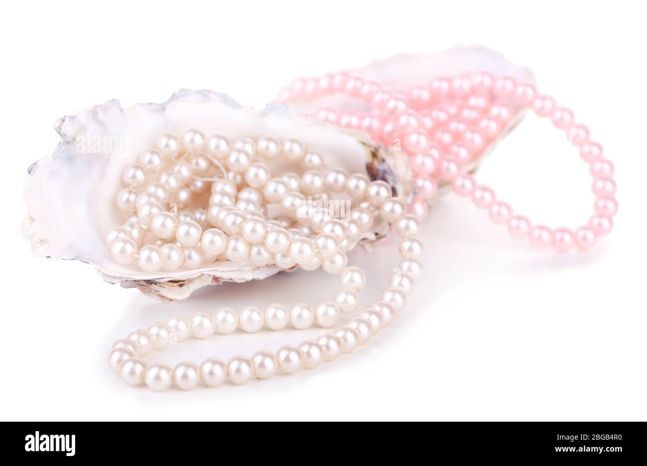 Pacific pearl oyster Cut Out Stock Images & Pictures - Alamy