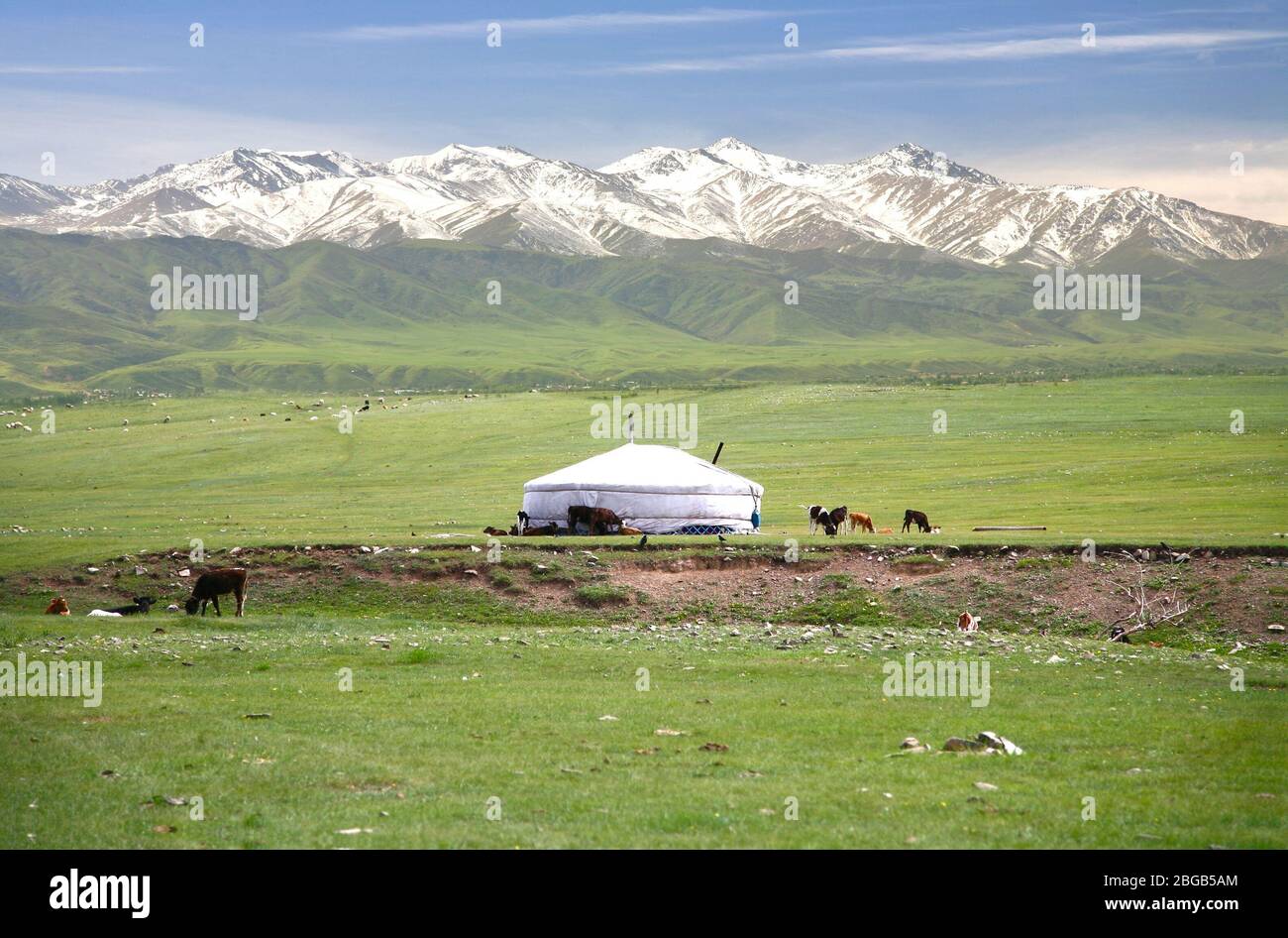 The ger camp in a large meadow at Naryn of Kyrgyzstan Stock Photo - Alamy