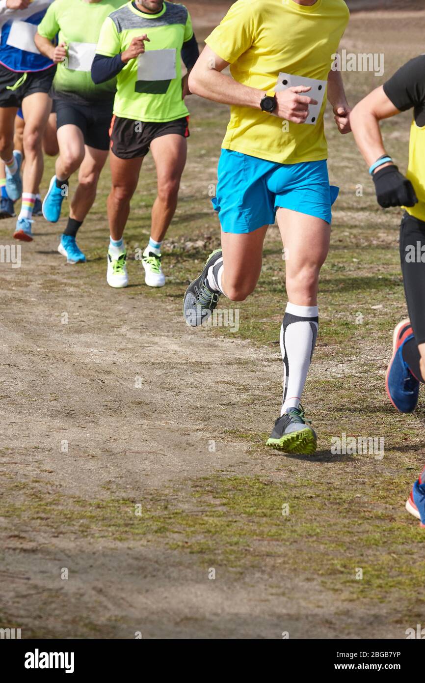 Cross country runners on a race. Active healthy outdoor lifestyle Stock ...