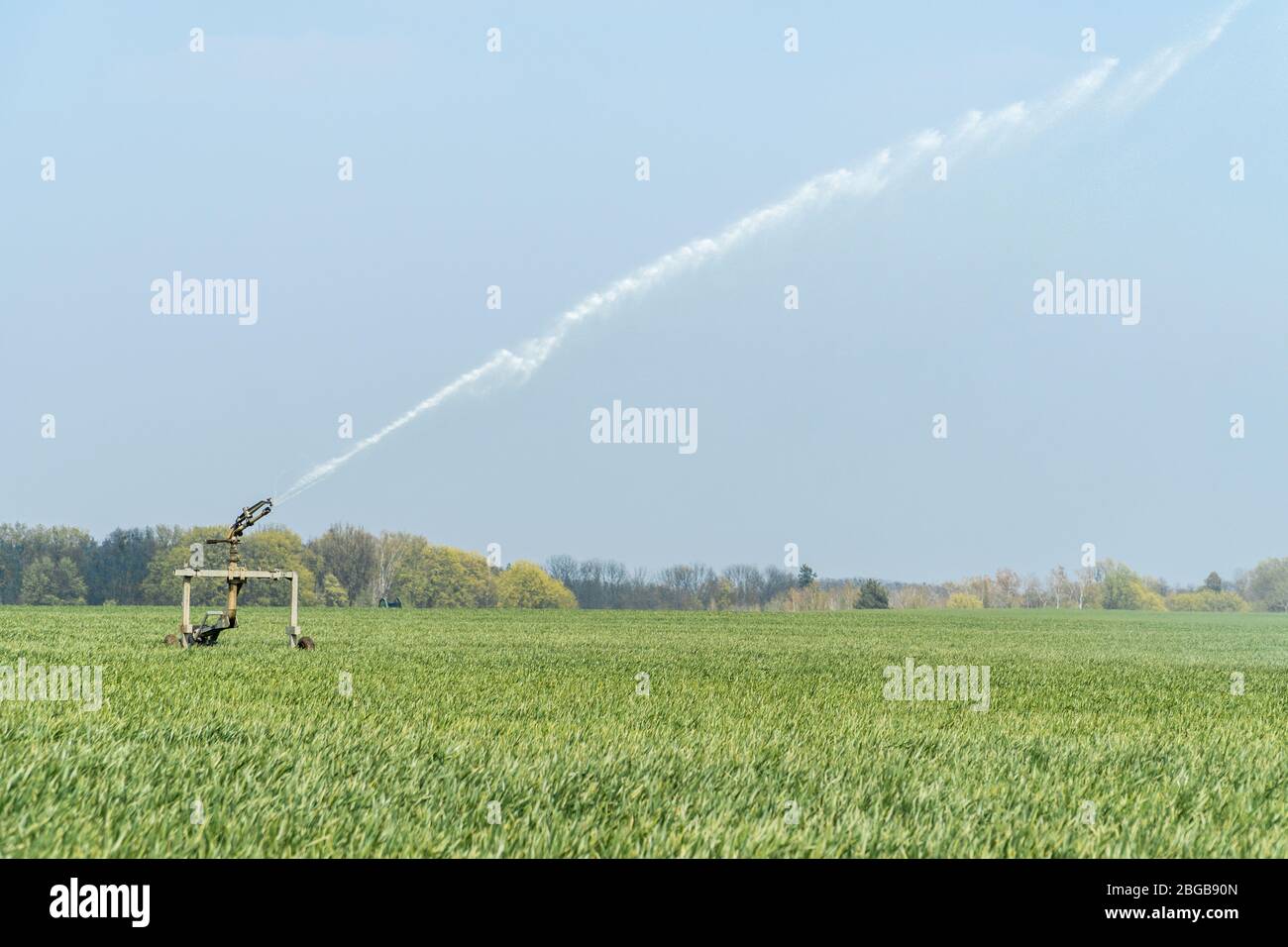 Rollaway automatic sprinkler watering gun irrigating farmer's field in ...