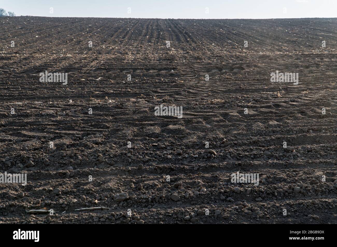 Cultivated black soil field in spring in Ukraine. Agriculture industry ...