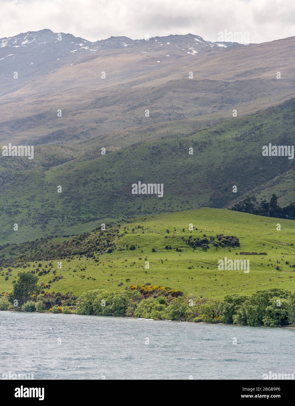 landscape with green slope with some spring snow on shore at Wakatipu ...