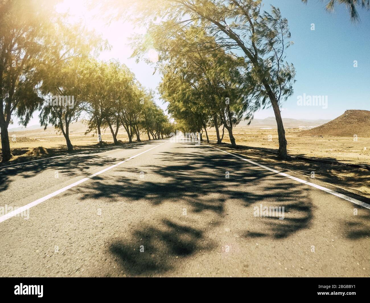 Beautiful Straight Road Landscape Around High Resolution Stock ...