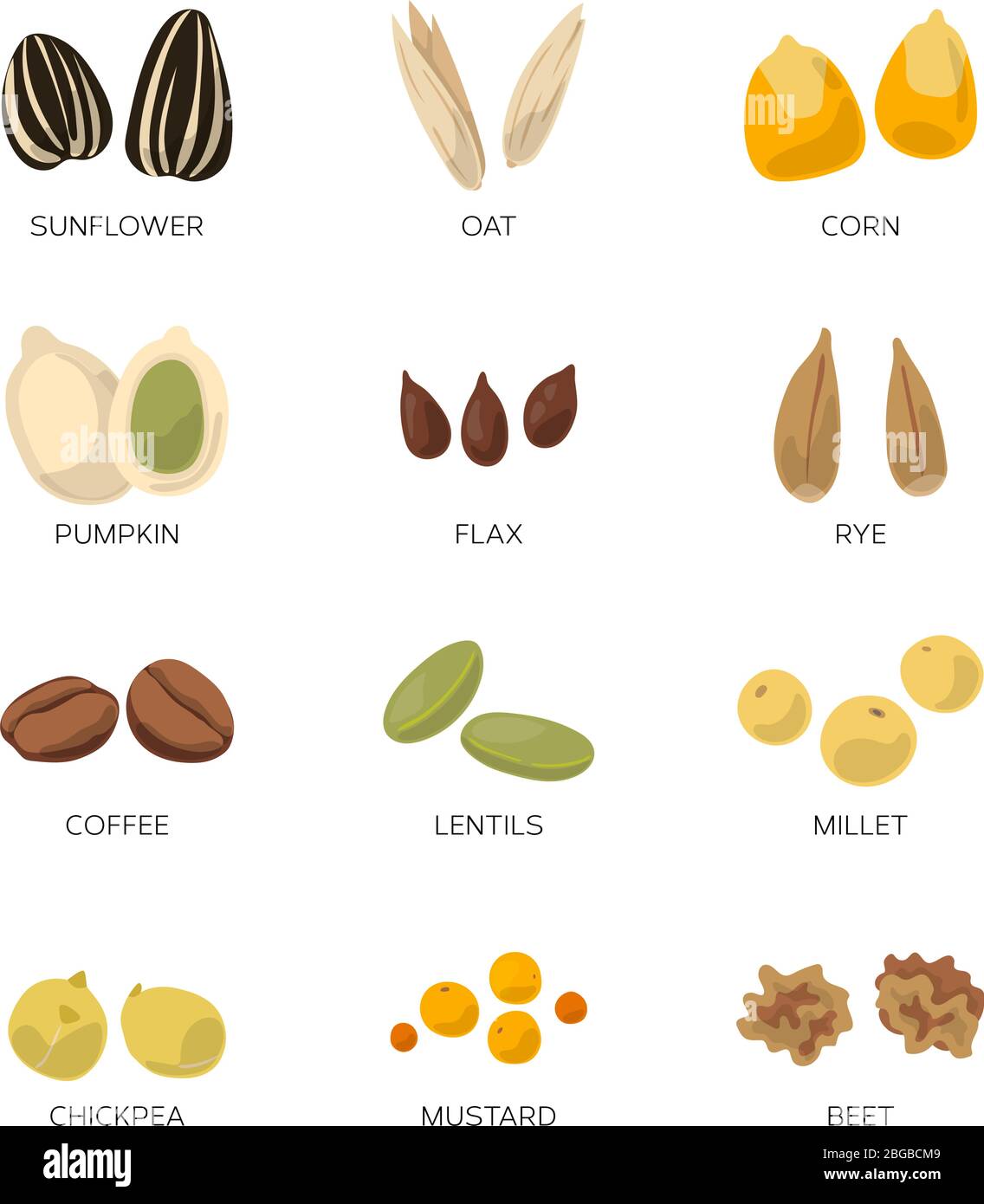 Different seeds isolated on white. Sunflower, coffee, pumpkin and other ...
