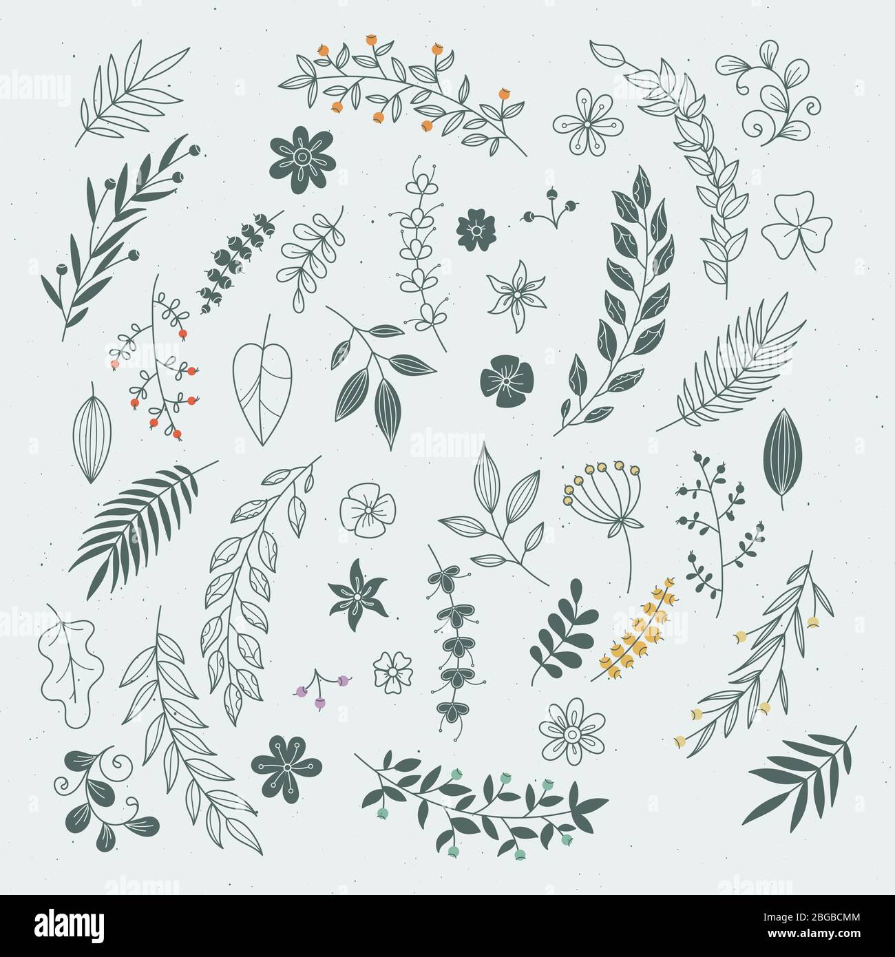 Rustic hand drawn ornaments with branches and leaves. Vector floral ...