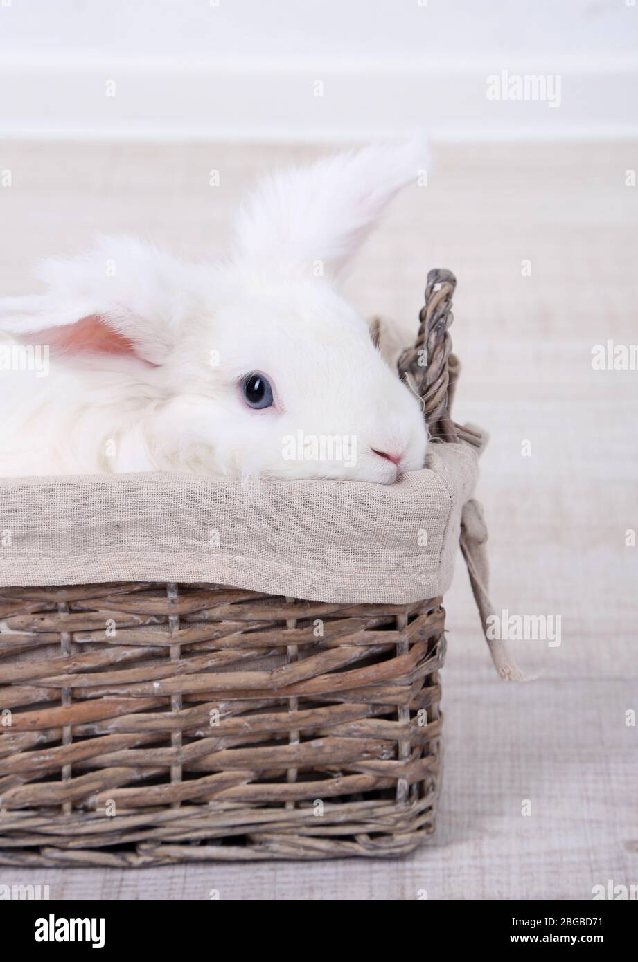 White cute rabbit in basket, close up Stock Photo - Alamy