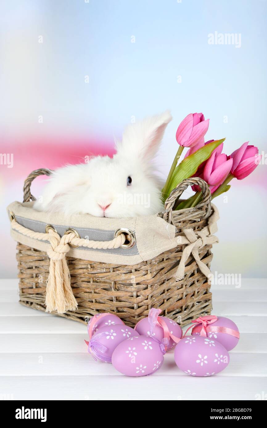 White cute rabbit and Easter composition Stock Photo - Alamy