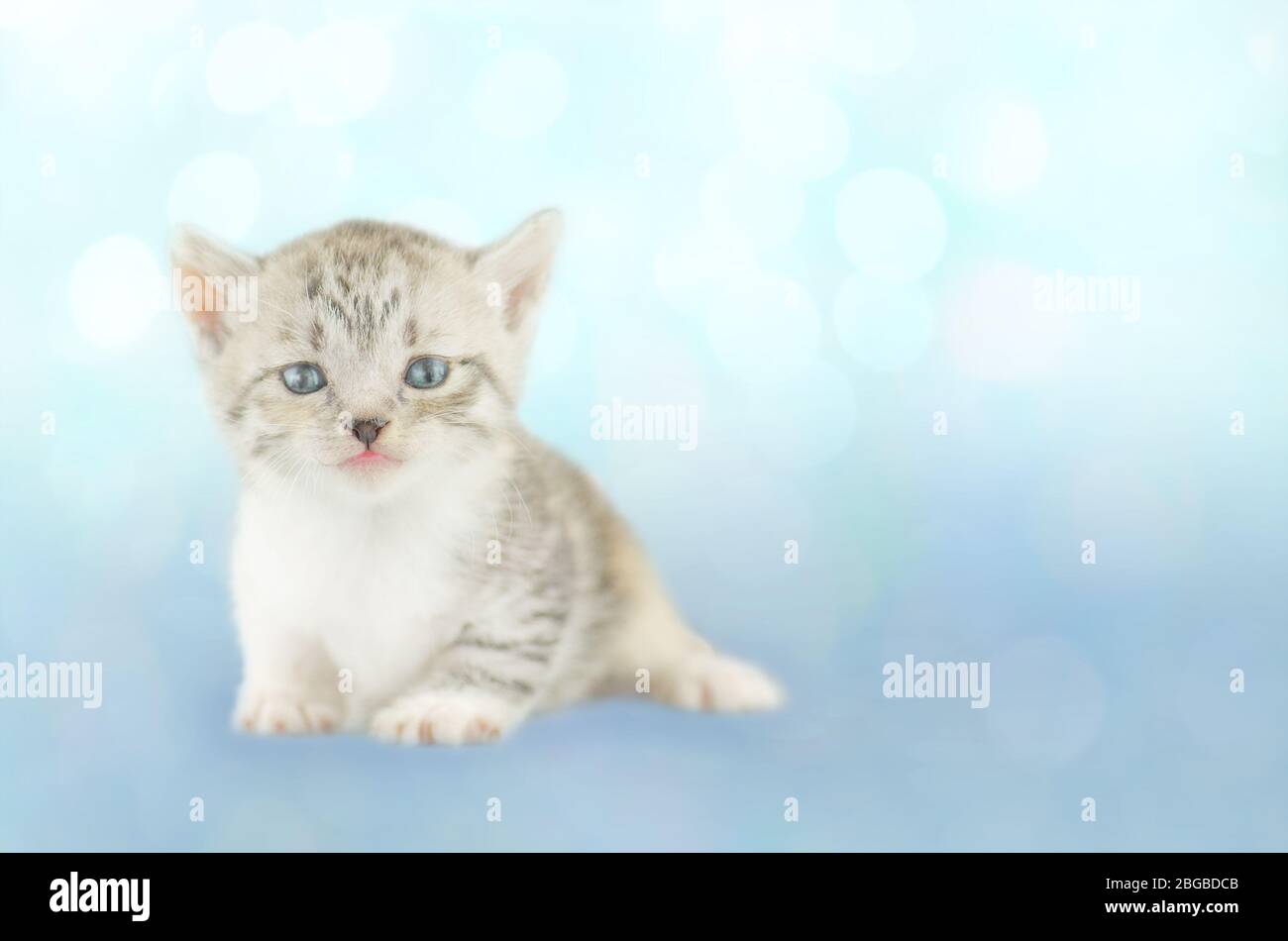 Blurred light background. Shine clean fresh blur design. Abstract ...