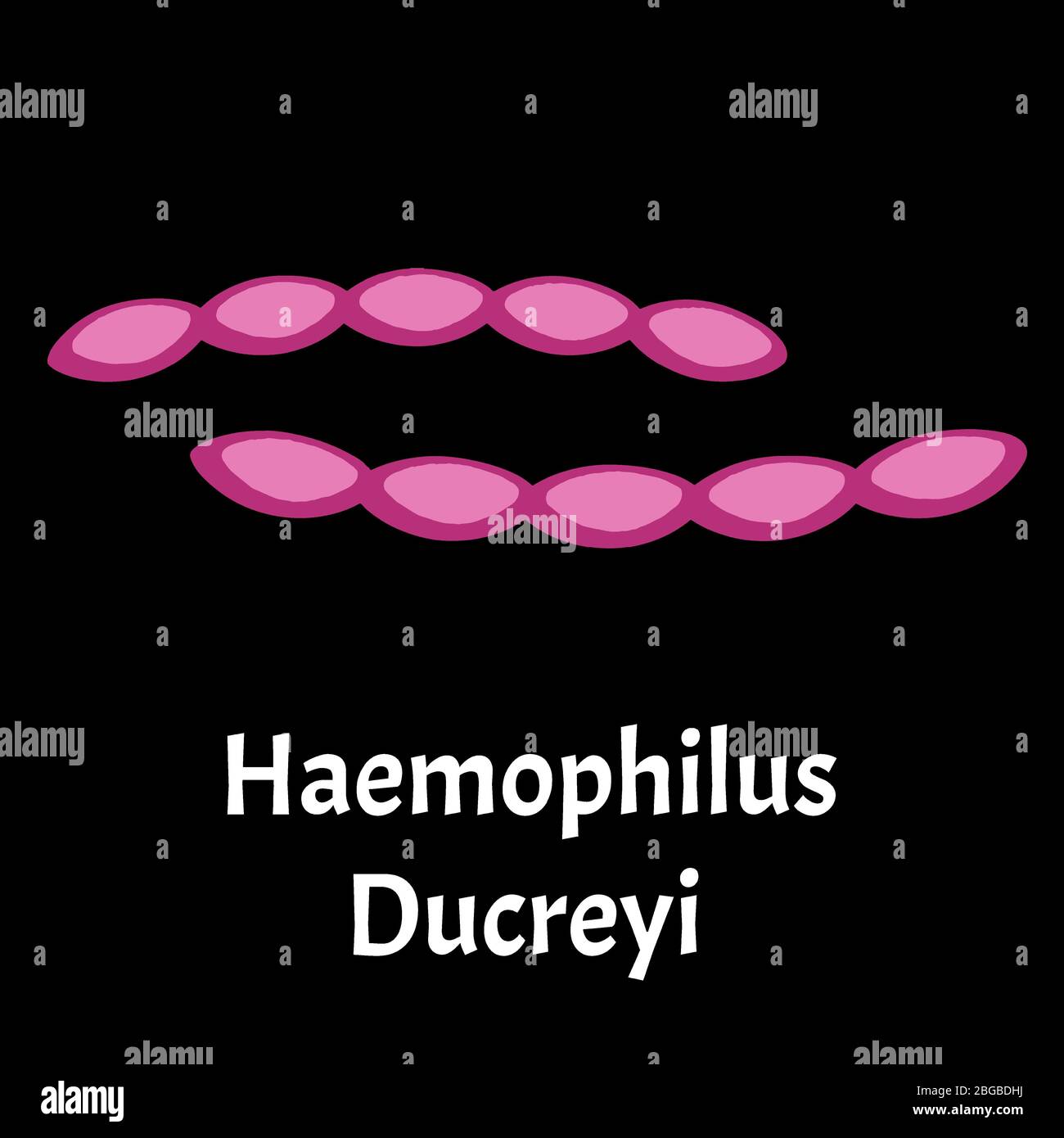 Structure of herpes virus hi-res stock photography and images - Alamy