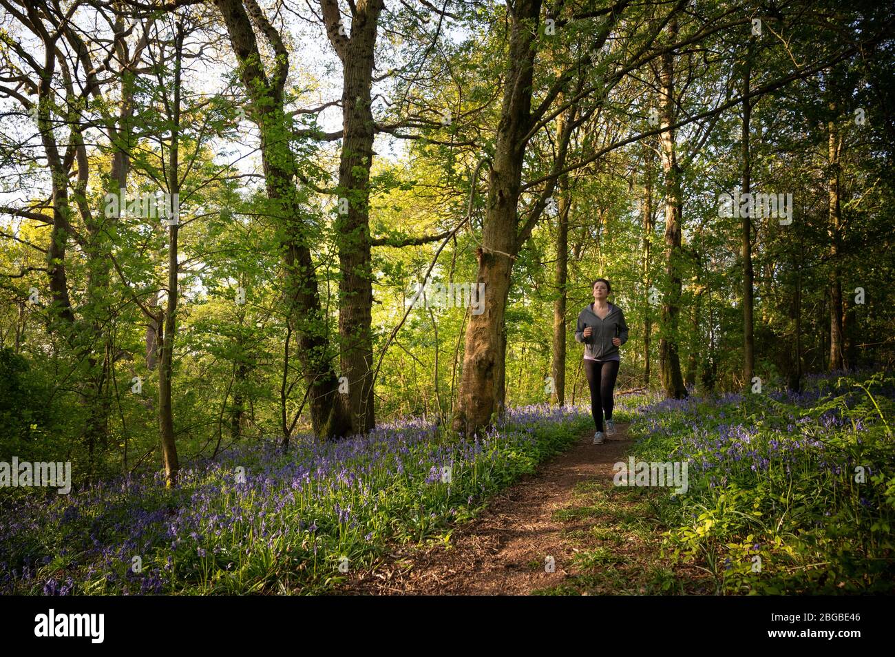 Oxford, UK. 21st Apr, 2020. A woman jogs alone in the woods on a bright ...