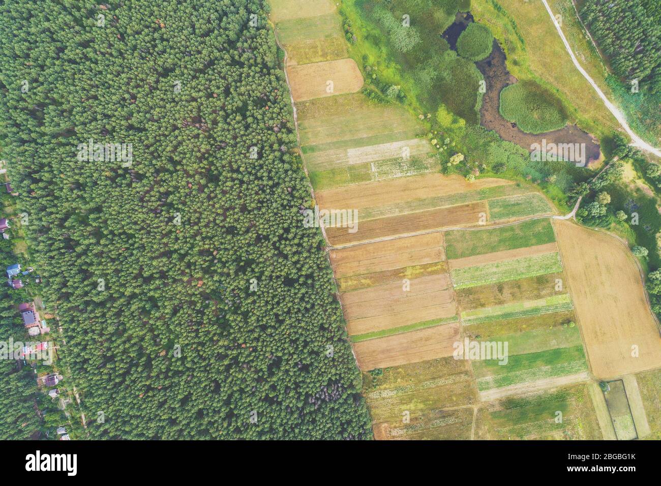 Rural landscape aerial view. Village in the forest. Farmland. Lake on ...