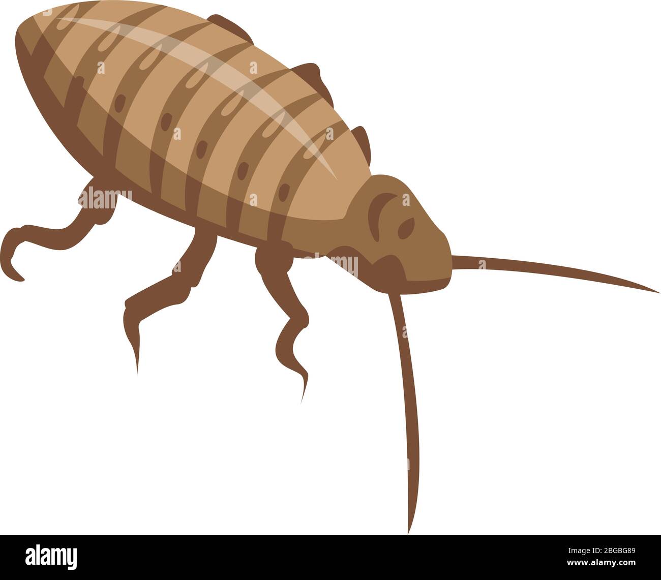 Cockroach bug icon, isometric style Stock Vector Image & Art - Alamy